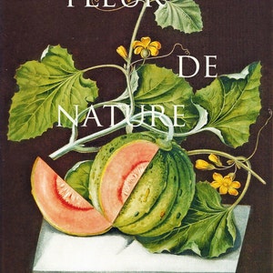FRUIT PRINT Melon 8X10 Botanical Art Print 7 Antique Brookshaw ...