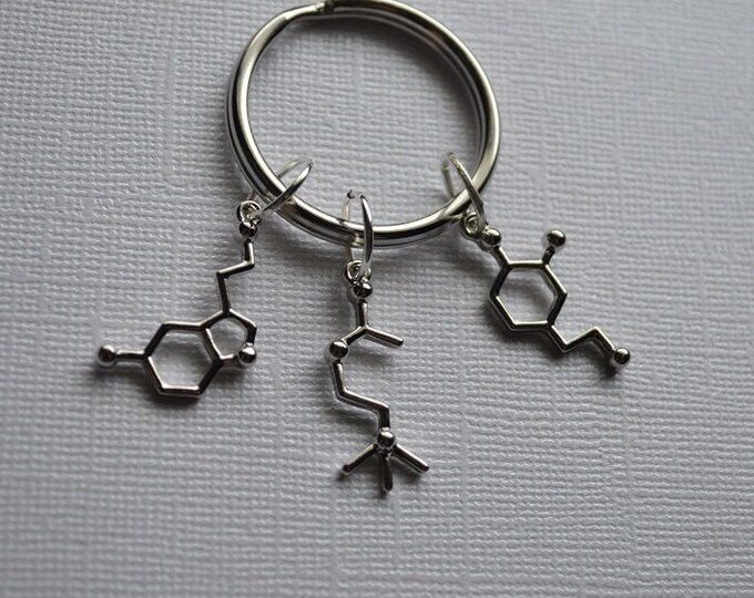 Biolojewelry Neurotransmitter Molecule Keychain Dopamine | Etsy