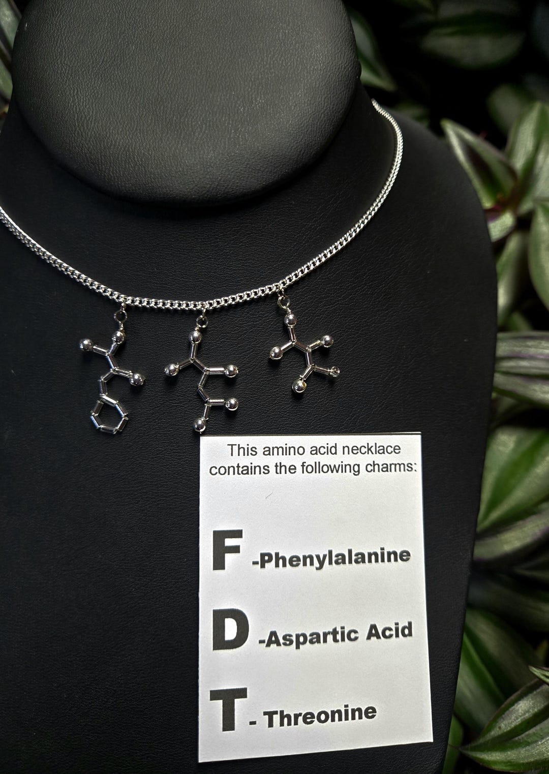Amino Acid FDT Letter Charm Science is Real Political Statement ...