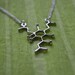 Biolojewelry humulone Beer Hops Molecule Science Biology - Etsy