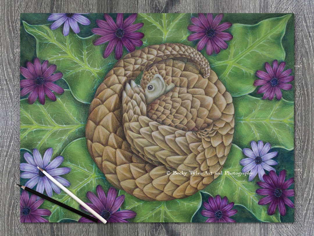Pangolin Original Drawing, Pangolin Art, Pangolin Art, Animal Art ...
