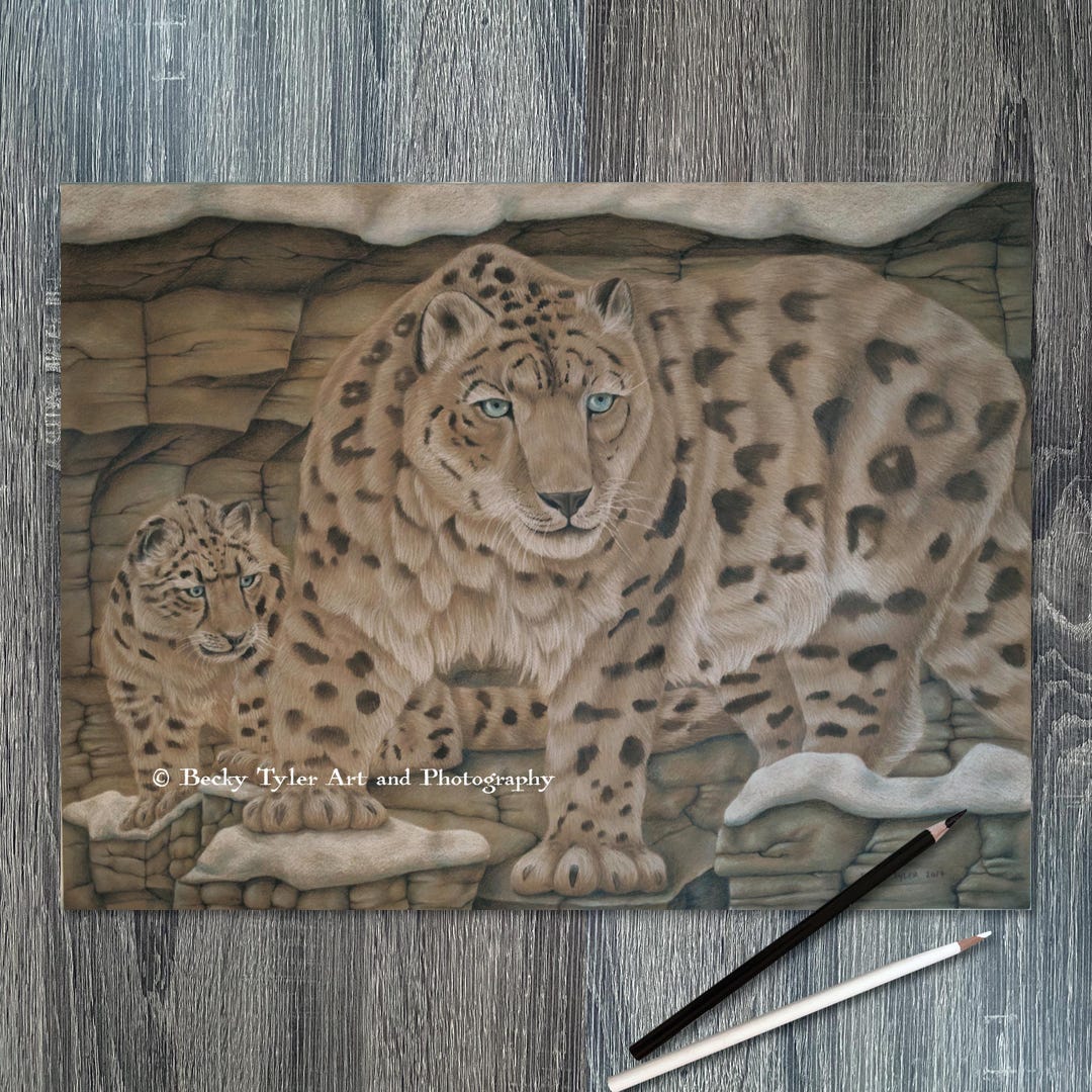 Snow Leopards Original Drawing, Pencil Drawing, Pencil Art, Wall Art ...