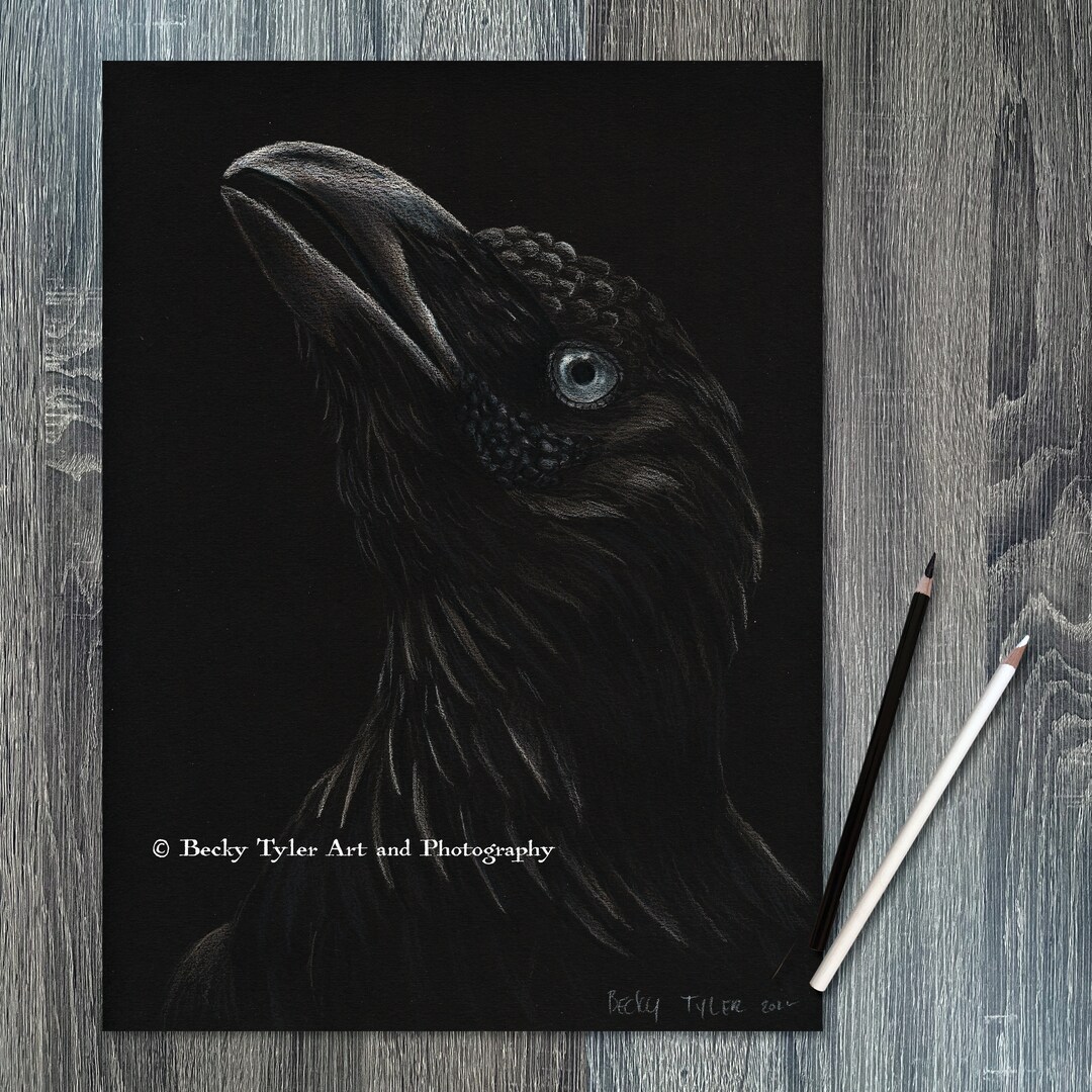 Raven Original Drawing, Pencil Drawing, Raven Drawing, Raven Art, Wall ...