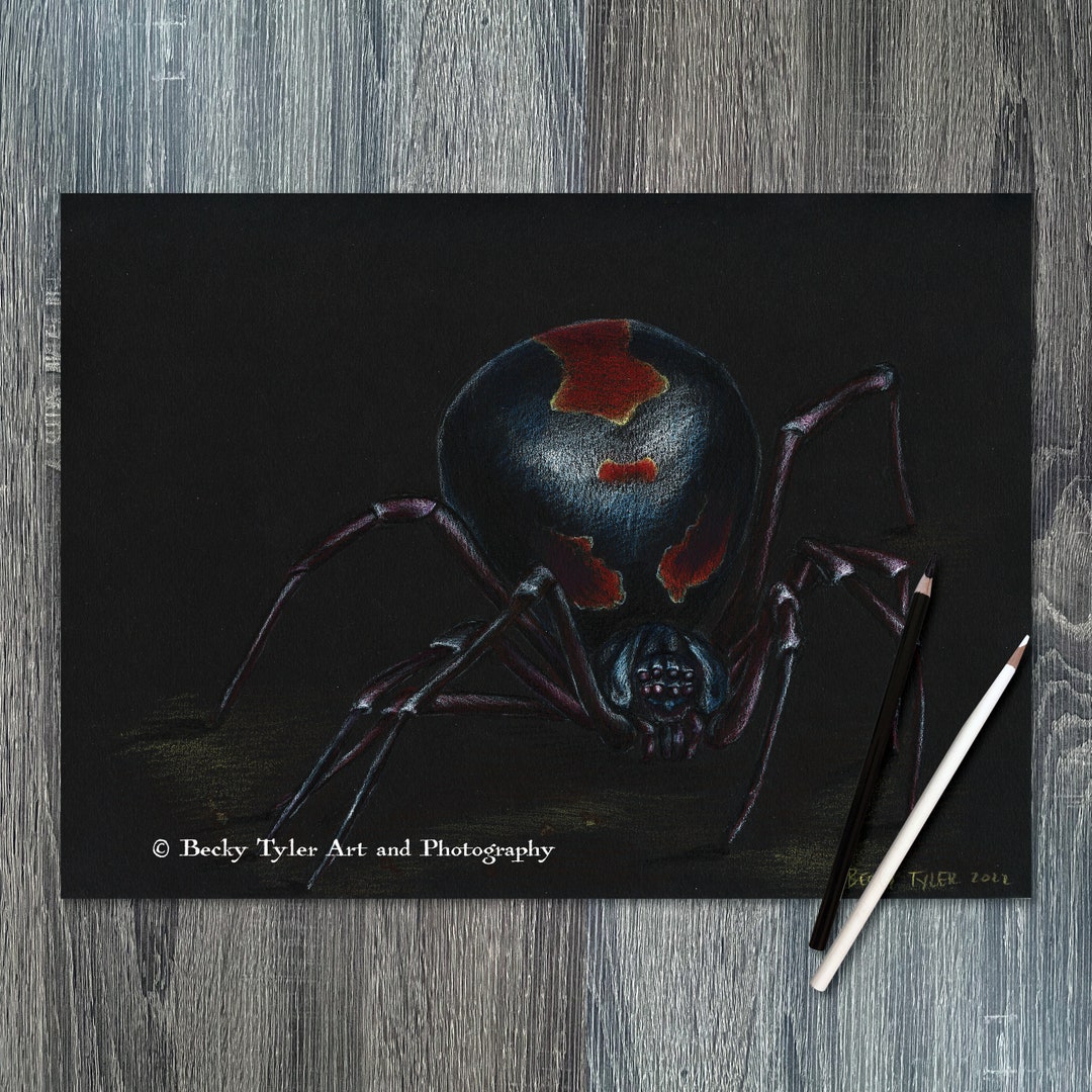 Black Widow Spider Original Drawing, Halloween Art, Halloween Decor ...