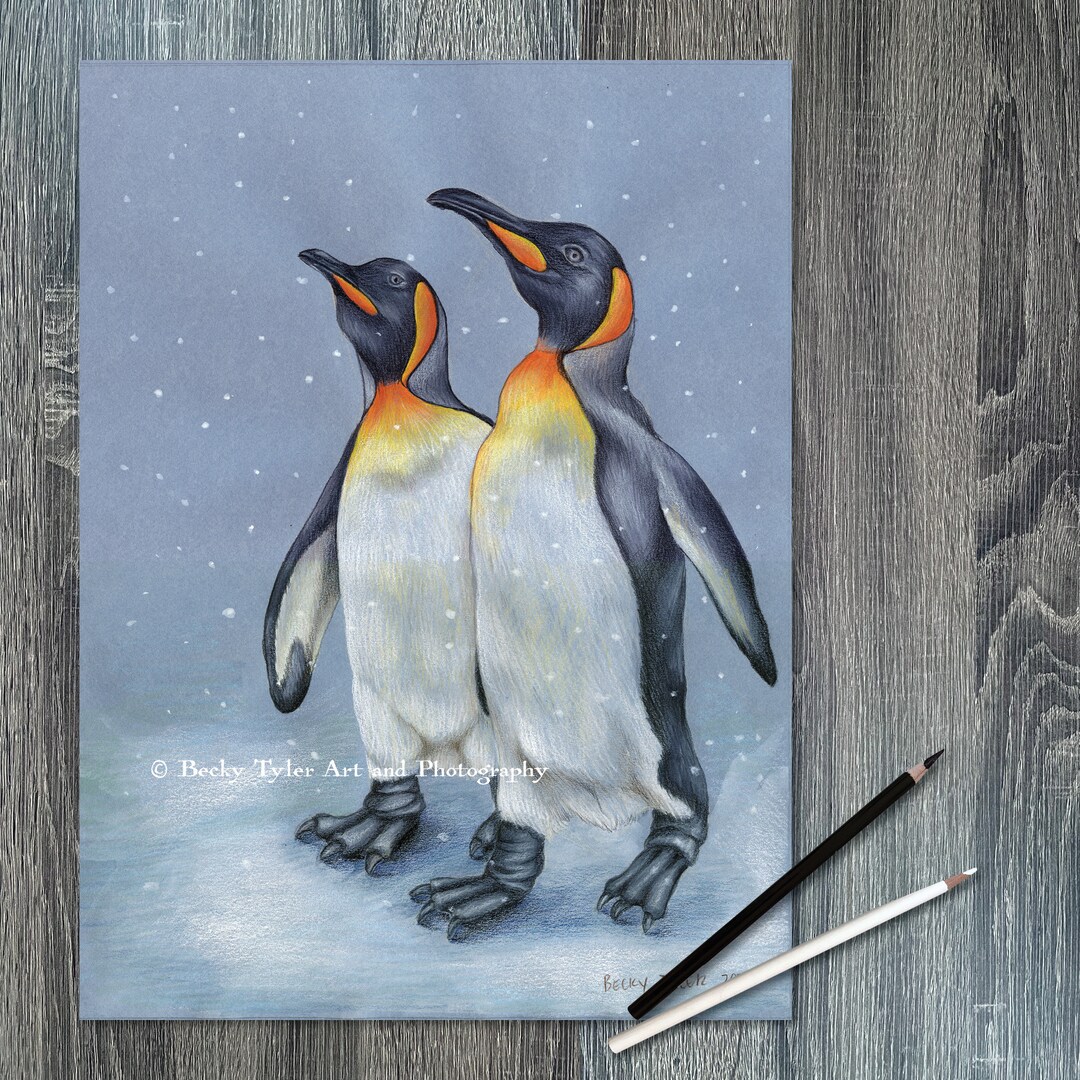 King Penguin Original Drawing, Pencil Drawing, Penguin Wall Art, Wall ...