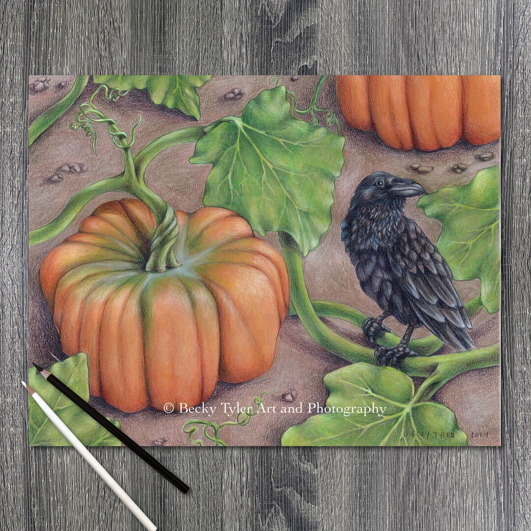 Raven With Pumpkins Original Drawing, Pencil Drawing, Pencil Art ...