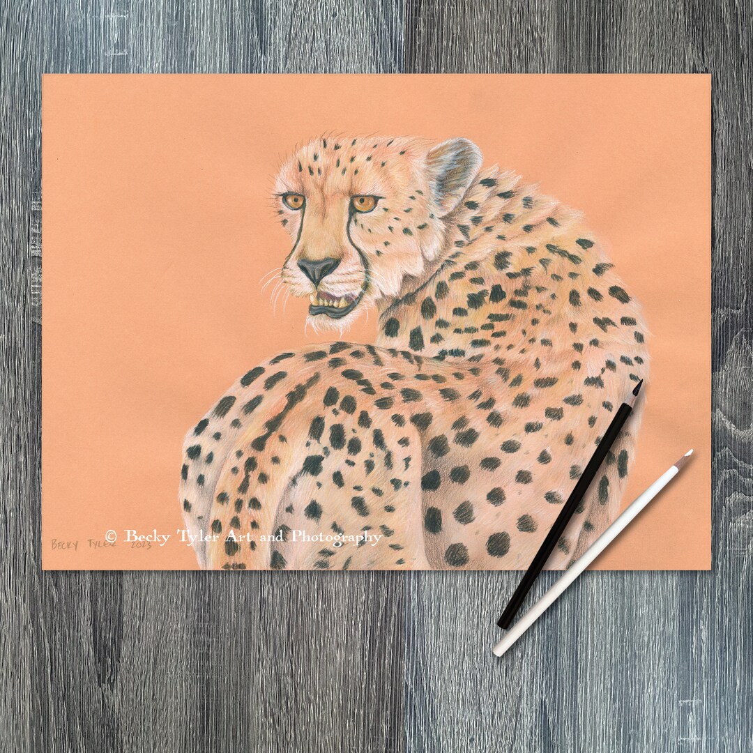 Cheetah Original Drawing, Pencil Drawing, Cheetah Art, Cheetah Wall Art ...
