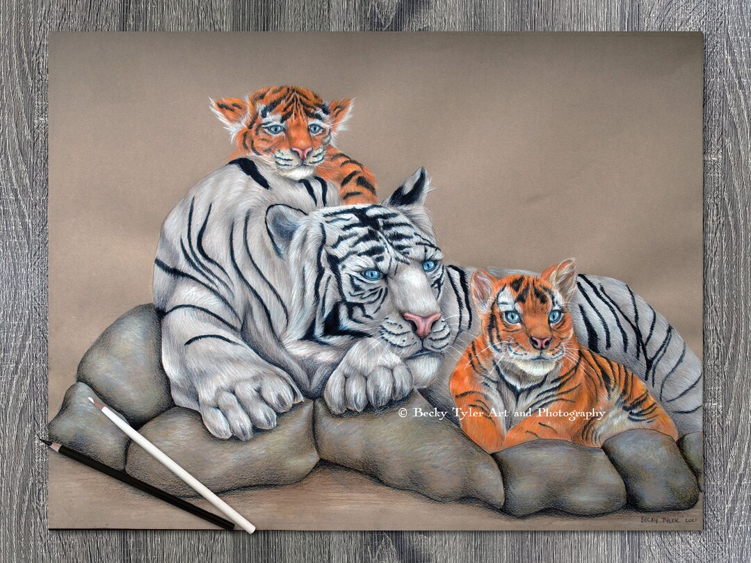 Tiger Original Drawing Tiger Art Tiger Wall Art Tiger - Etsy