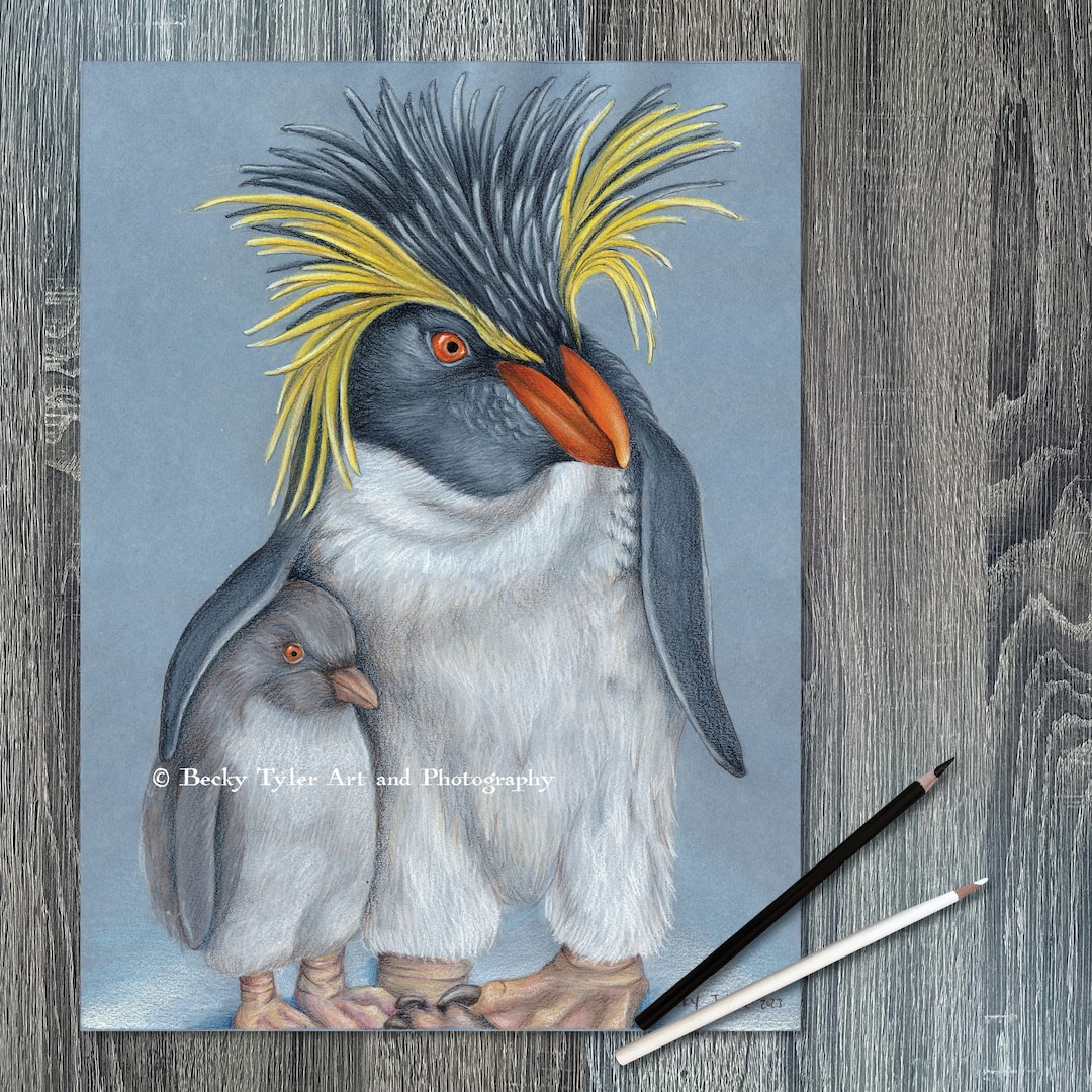 Rockhopper Penguins Original Drawing, Pencil Drawing, Penguin Art, 11 ...