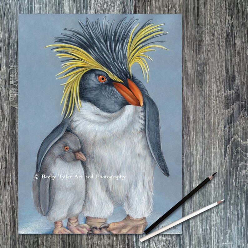 Rockhopper Penguins Original Drawing, Pencil Drawing, Penguin Art ...