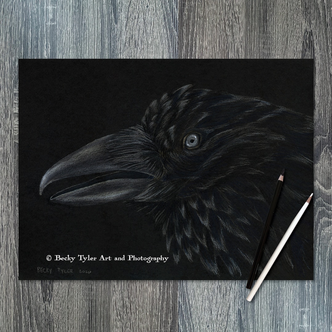 Raven Original Drawing, Pencil Drawing on Black Paper, Raven Wall Art ...