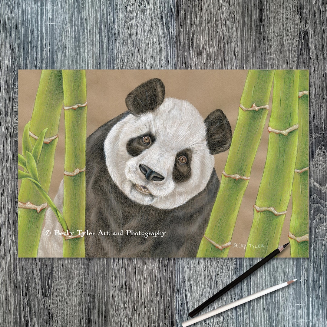 Giant Panda Original Drawing, Pencil Drawing, Pencil Art, Panda Art ...