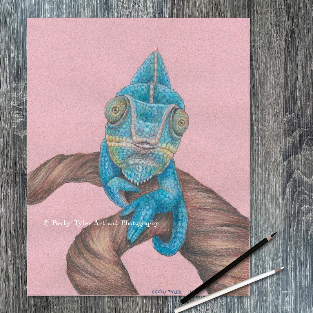 Turquoise Chameleon Drawing: Colored Pencil & Watercolor Art, 8x10 - Etsy
