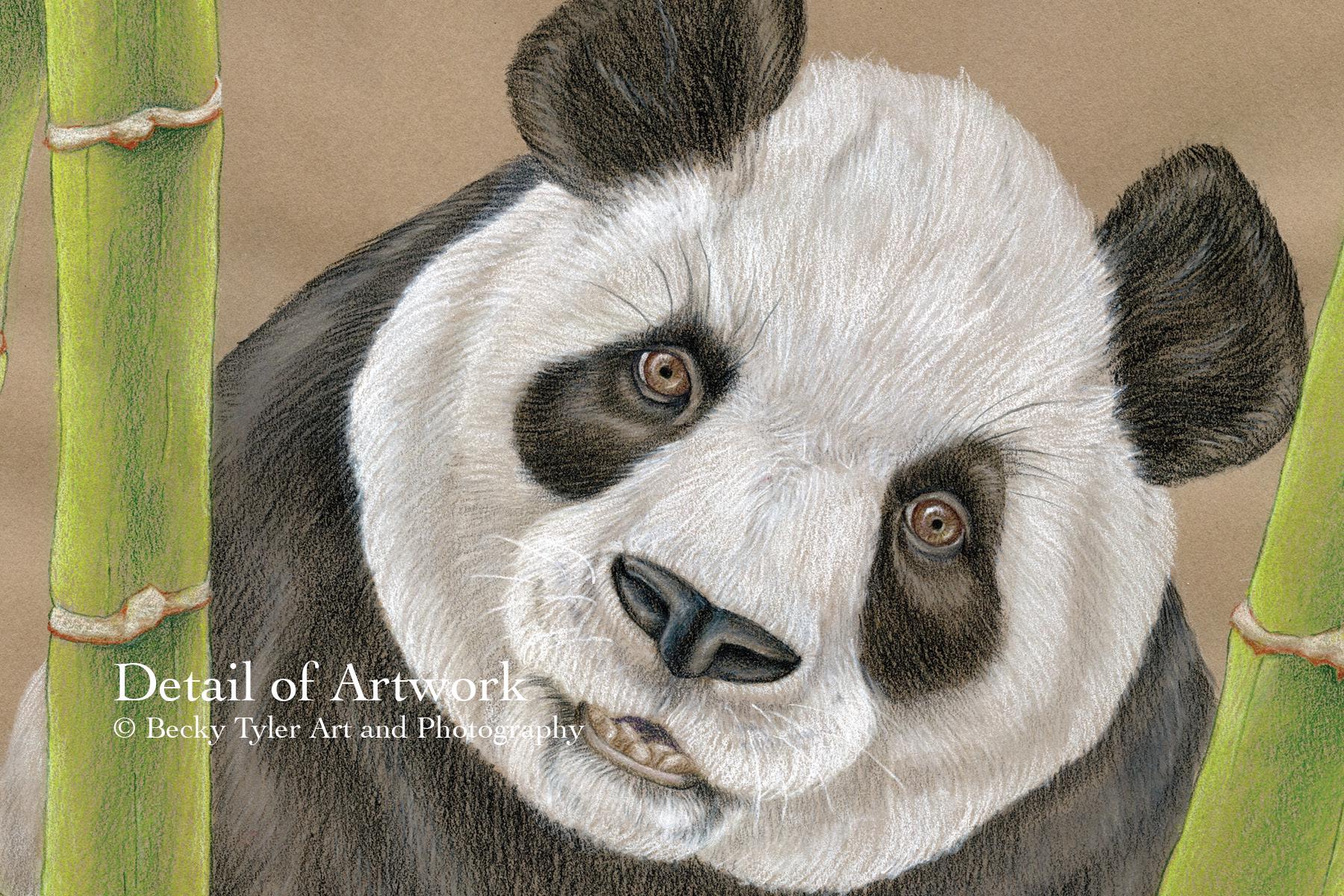 Giant Panda Original Drawing, Pencil Drawing, Pencil Art, Panda Art ...