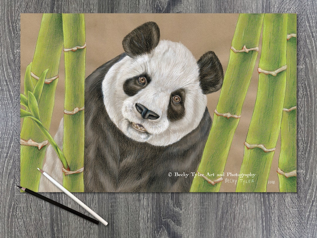 Giant Panda Original Drawing, Pencil Drawing, Pencil Art, Panda Art ...