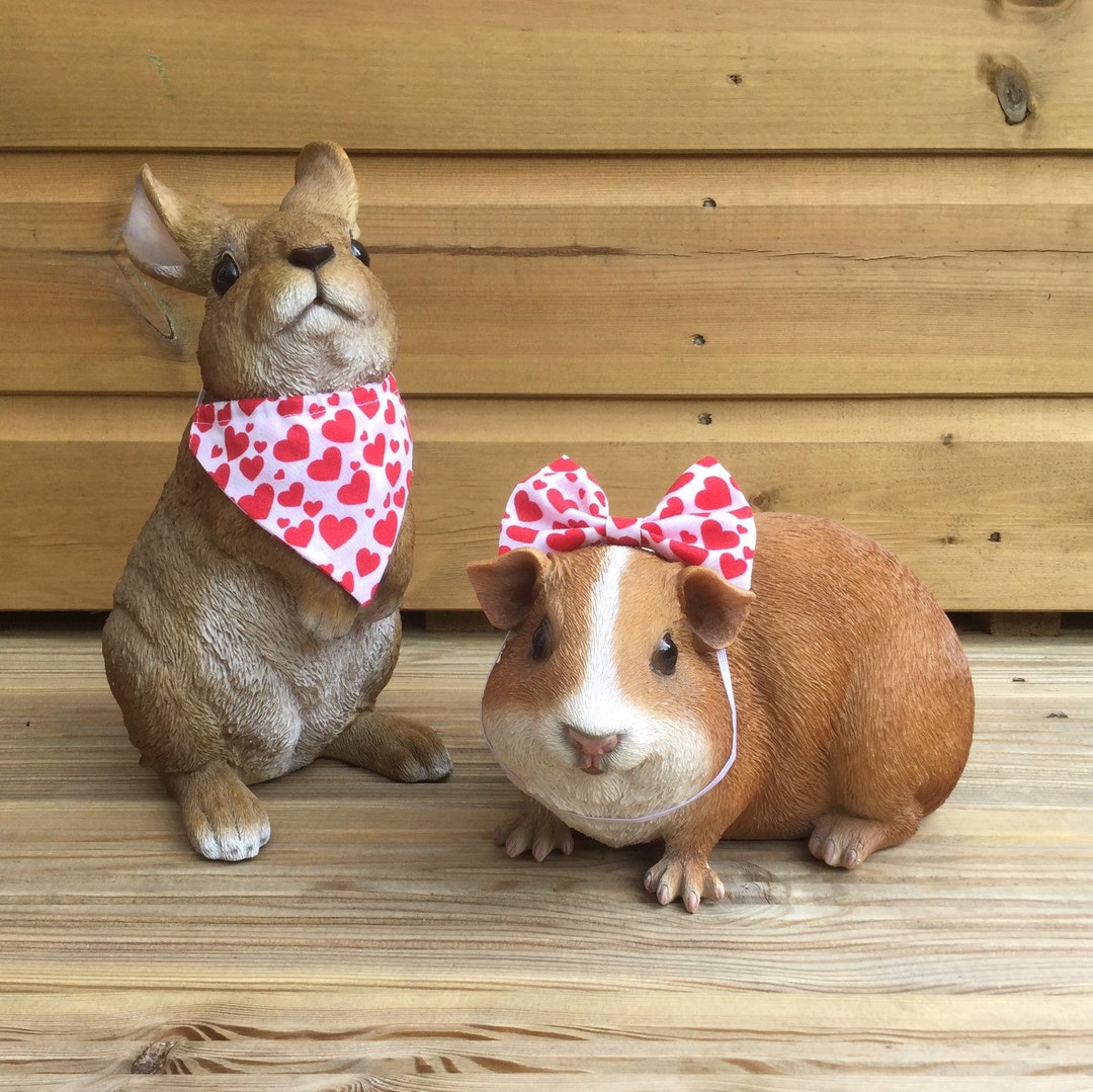Valentine's Day Bow or Bandana for Bunny Rabbits, Guinea Pigs, Small ...