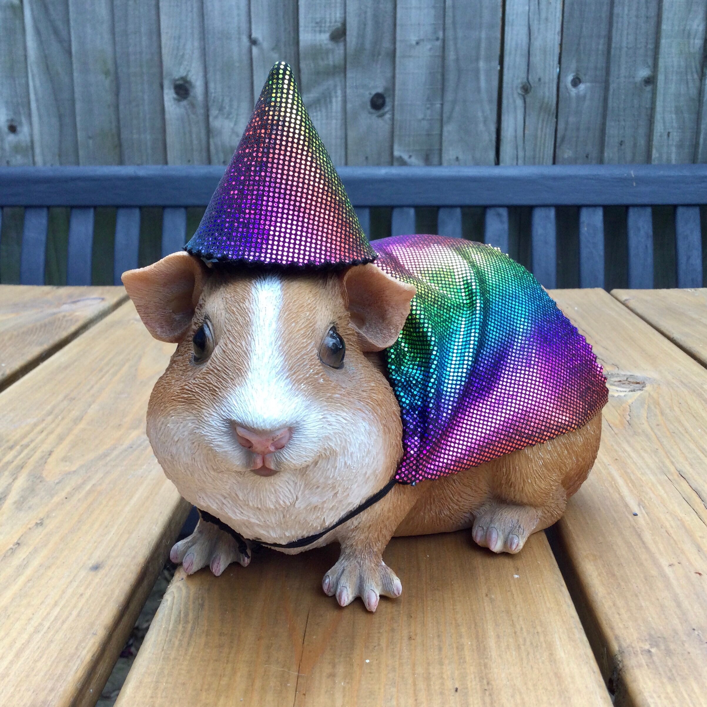 Wizard's / Witch's Sparkly Hat or Cape or Hat and Cape Set for Guinea ...