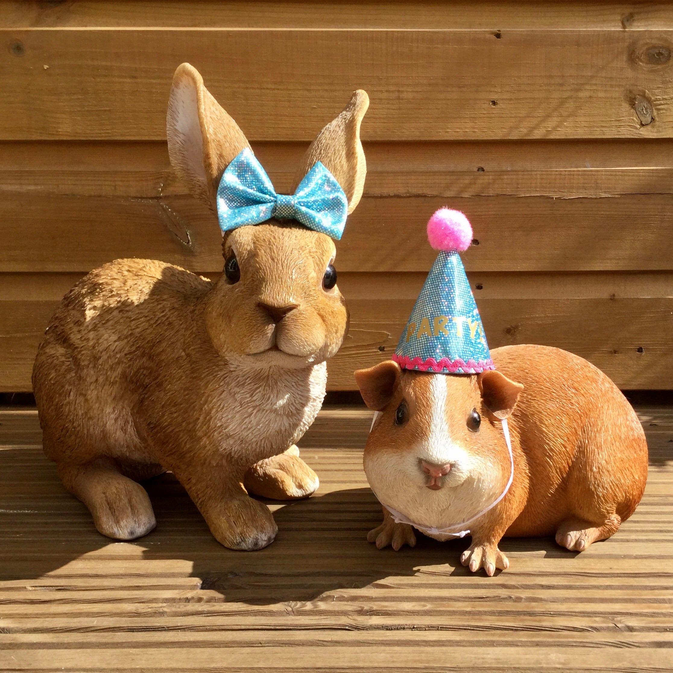 Bunny Wearing Birthday Hat