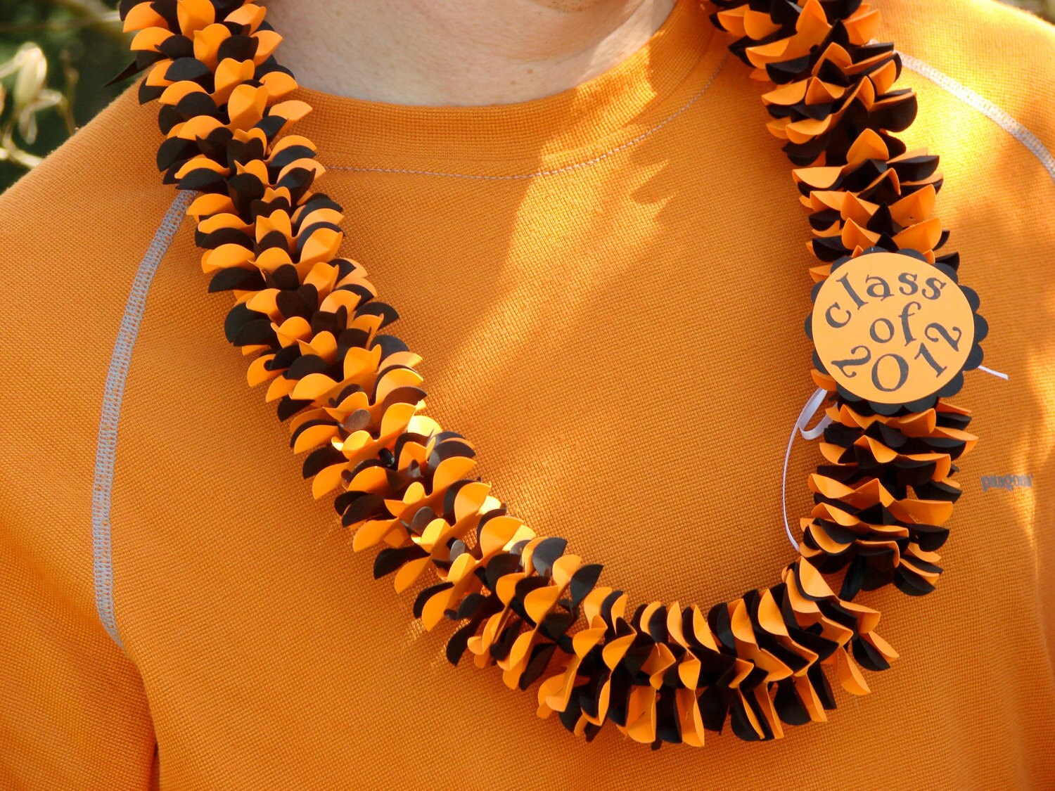 GO BEAVERS Oregon State University School Graduation & Sports Fans ...