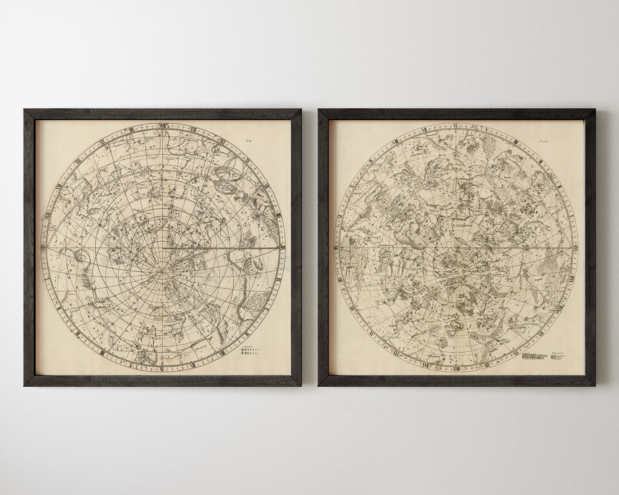 Vintage Constellation Map