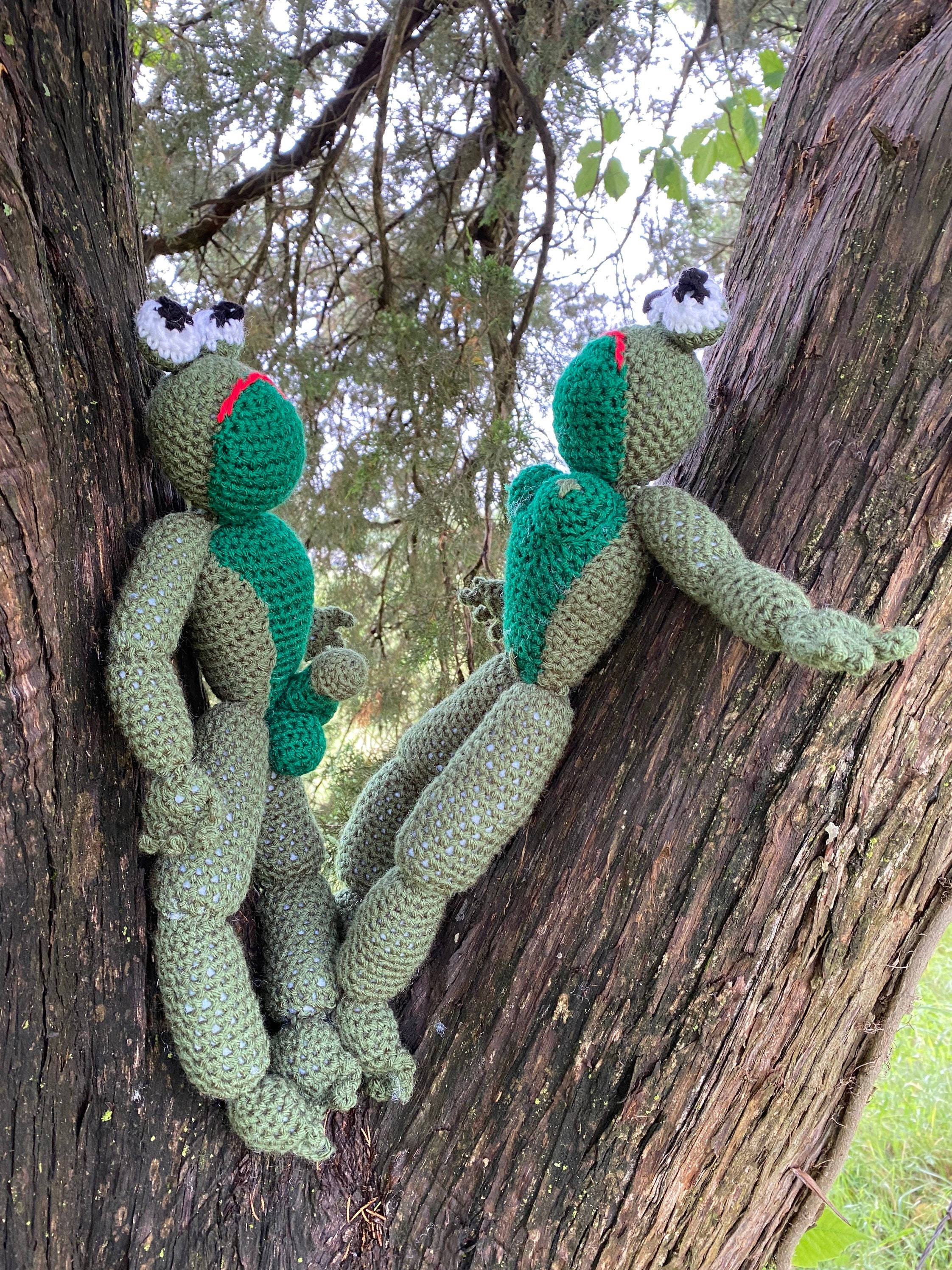 Crochet Titty and Penis Frog Couple - Etsy