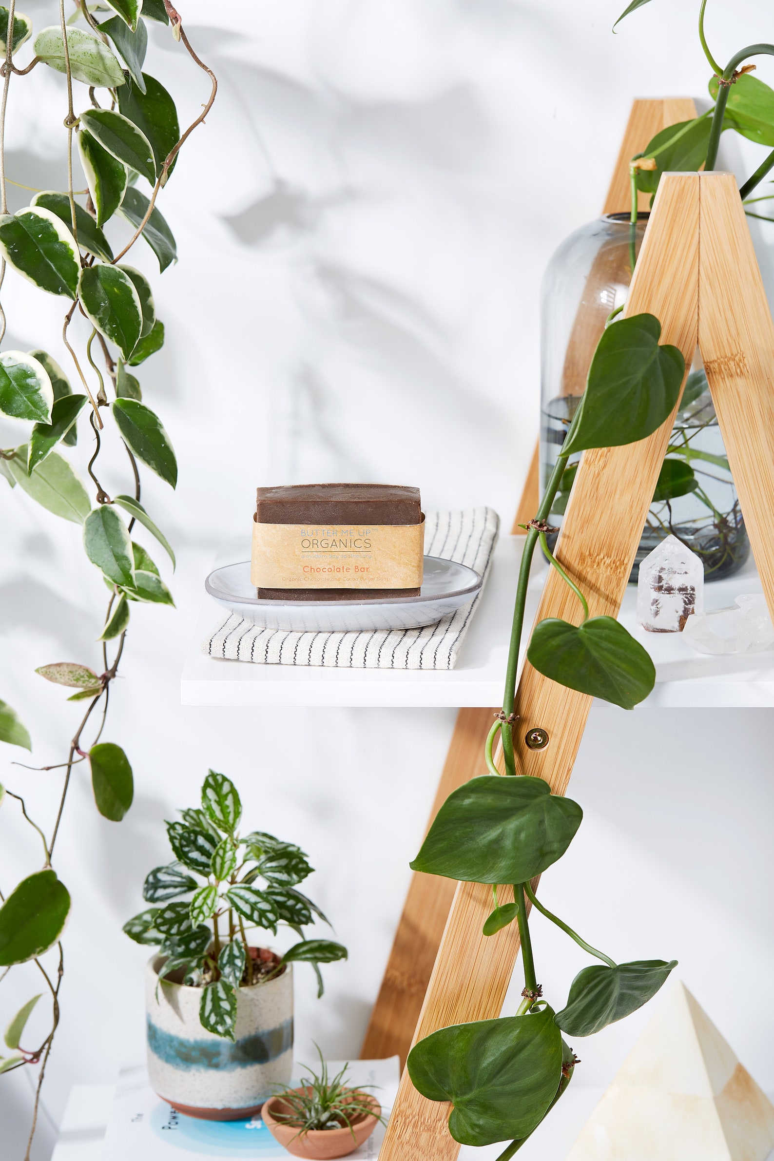 Shampoo Bar / Organic Shampoo Bar / Organic Chocolate Soap - Etsy