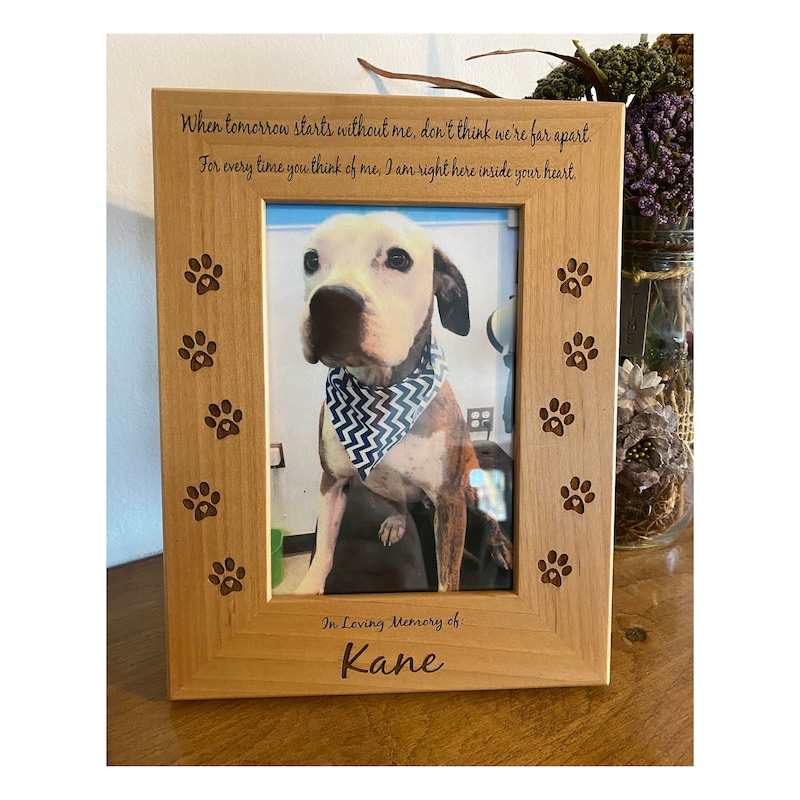 Pet Bird Picture Frames - Etsy