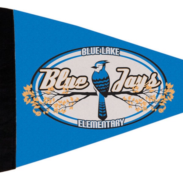 Custom Pennant - Etsy