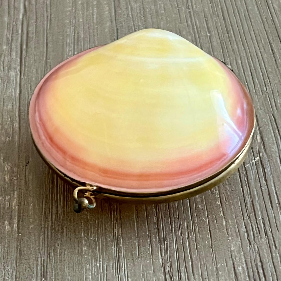 Genuine Clam Shell Trinket Box Hinged Clam Shell Keepsake / Treasure ...