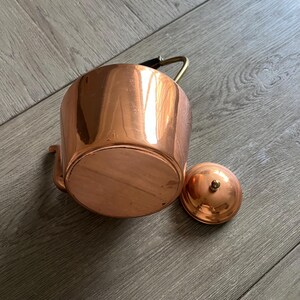 Vintage TAGUS Portugal Copper Tea Kettle Swan Spout Copperteapot Coffee ...