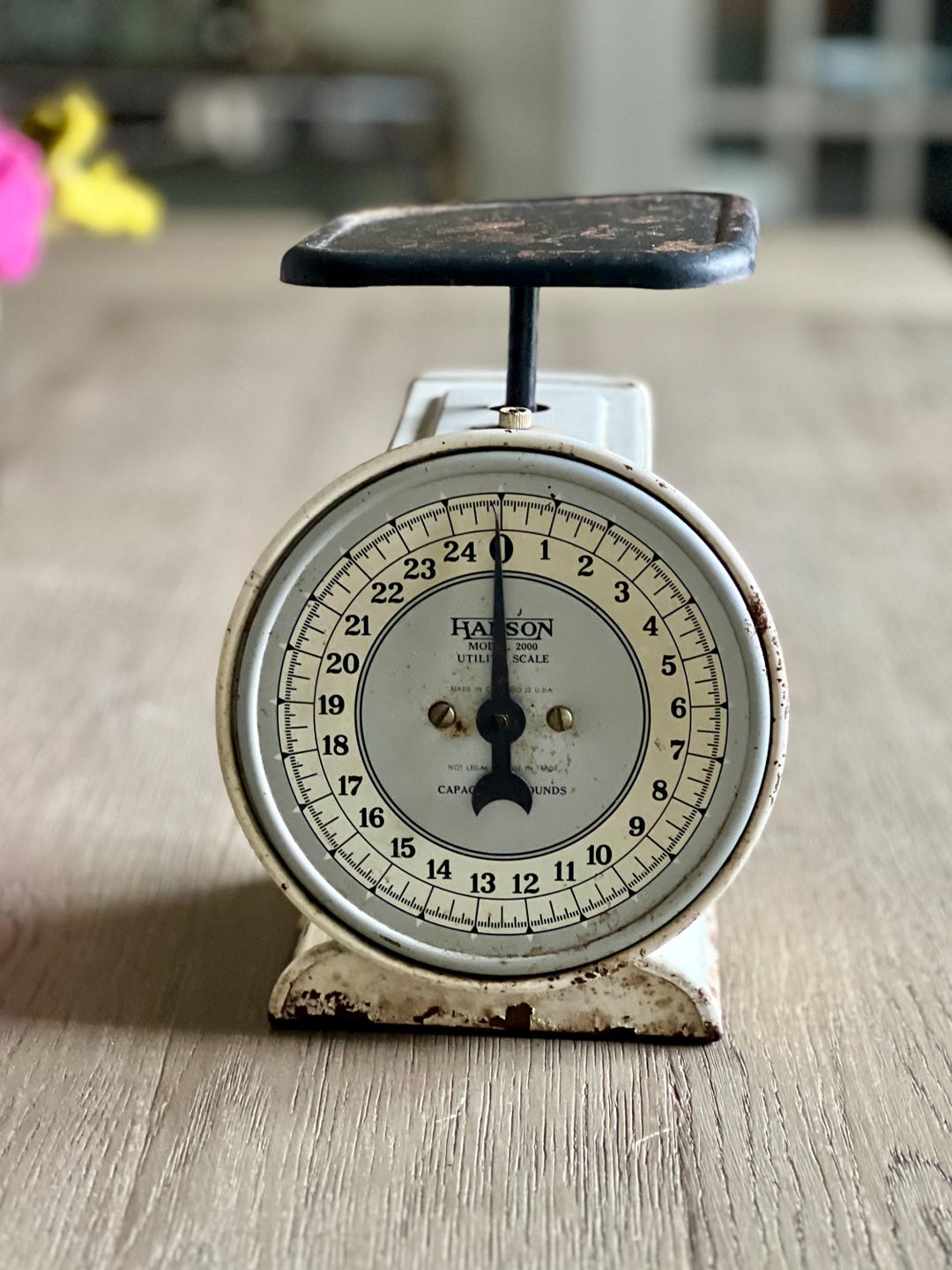 Vintage Hanson Utility Scale Model 2000 Capacity 25 Lbs Made in Chicago ...