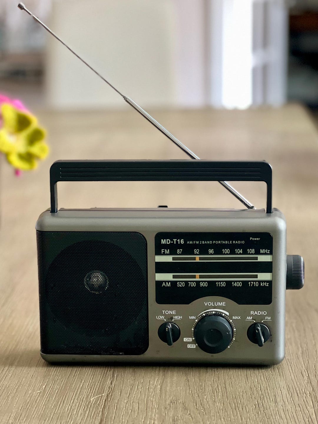 Portable Radio FM AM Two Band Portable Transistor Radio Tested Working ...