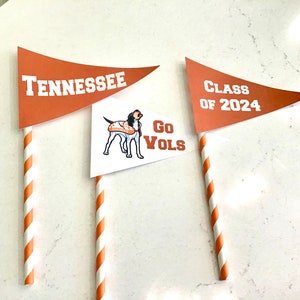 University of Tennessee Flags Graduation Parties, Tailgating, Etc ...