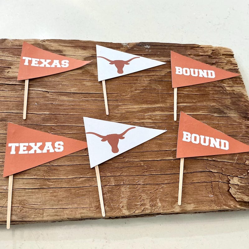 Texans Cake Topper - Etsy