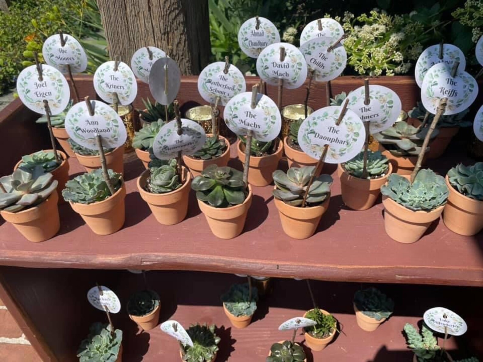 Rustic Boho Farmhouse Name Tags Table Numbers Plant - Etsy