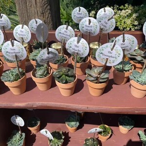 Rustic, Boho, Farmhouse Name Tags, Table Numbers, Plant Markers Wedding ...