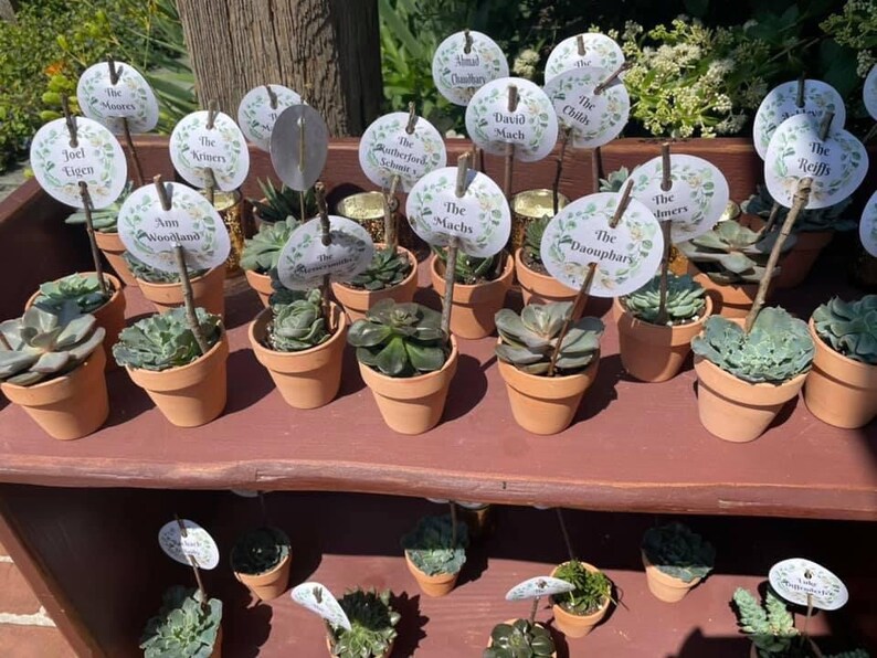 Rustic Boho Farmhouse Name Tags Table Numbers Plant - Etsy