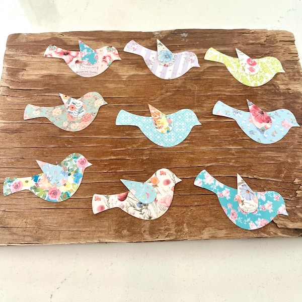 Bird Confetti - Etsy