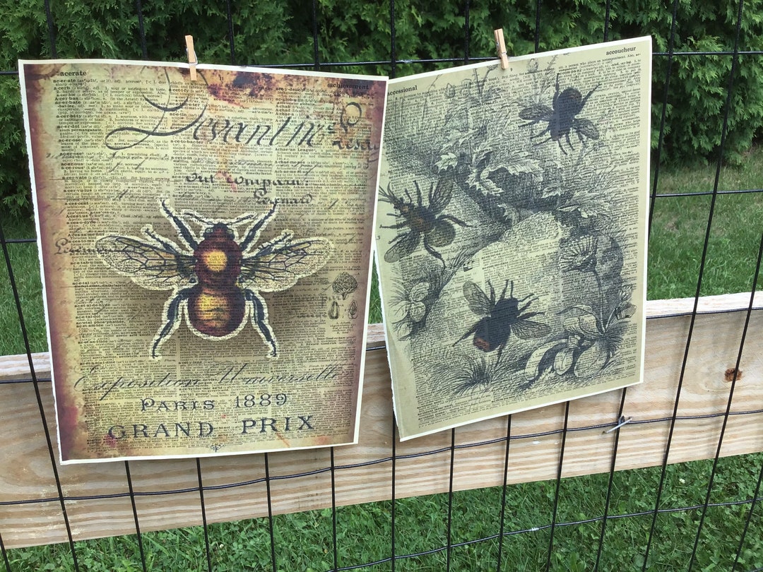 Bees Printed on Vintage Dictionary Pages - Etsy