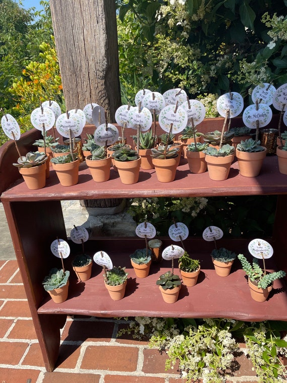 Rustic Boho Farmhouse Name Tags Table Numbers Plant - Etsy