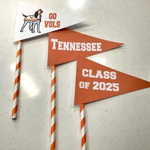 University of Tennessee Flags Graduation Parties, Tailgating, Etc ...