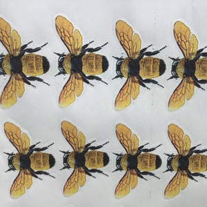 Bee Stickers - Etsy