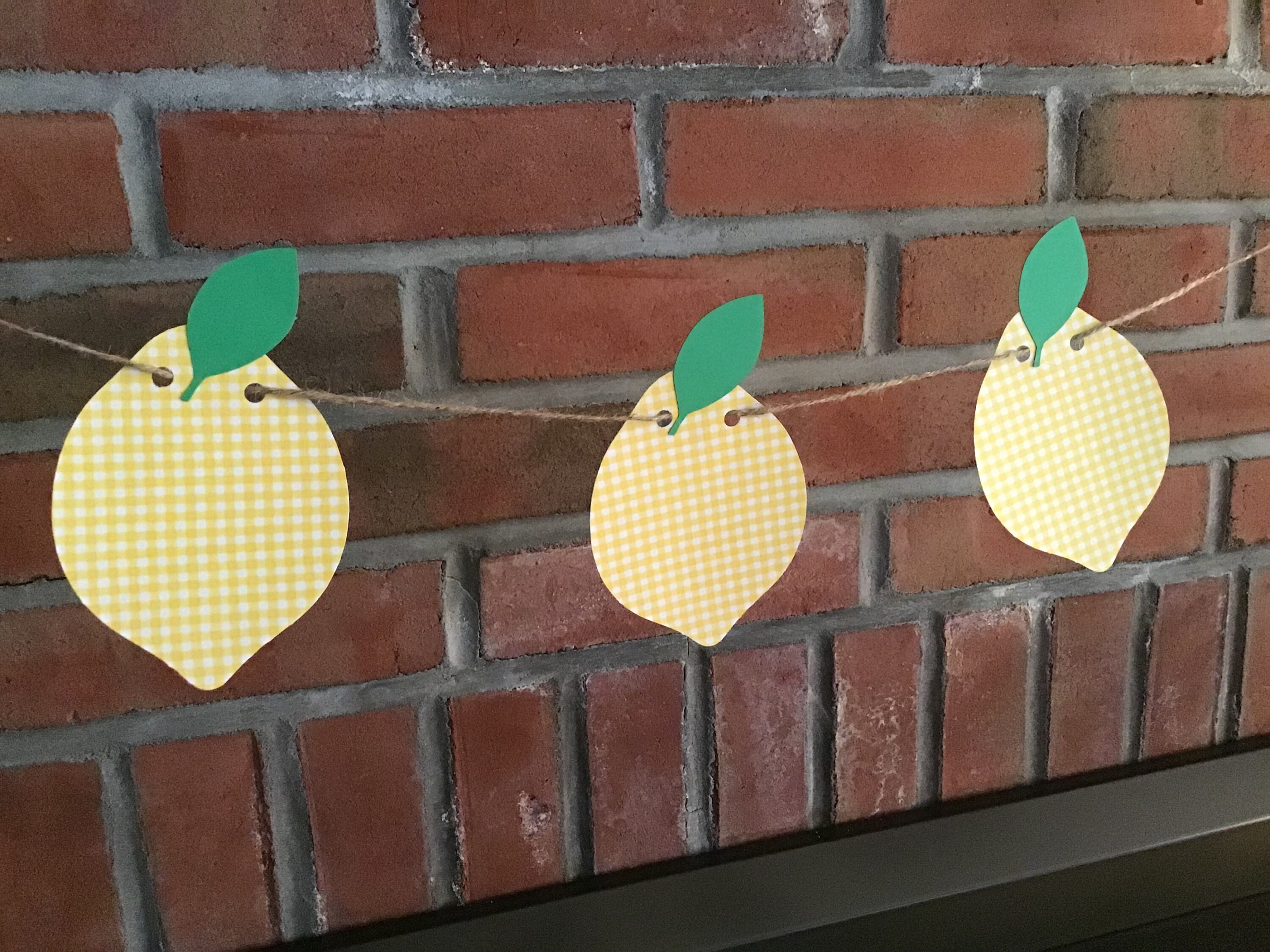 Yellow Gingham Lemon Banner Garland or Red Gingham - Etsy