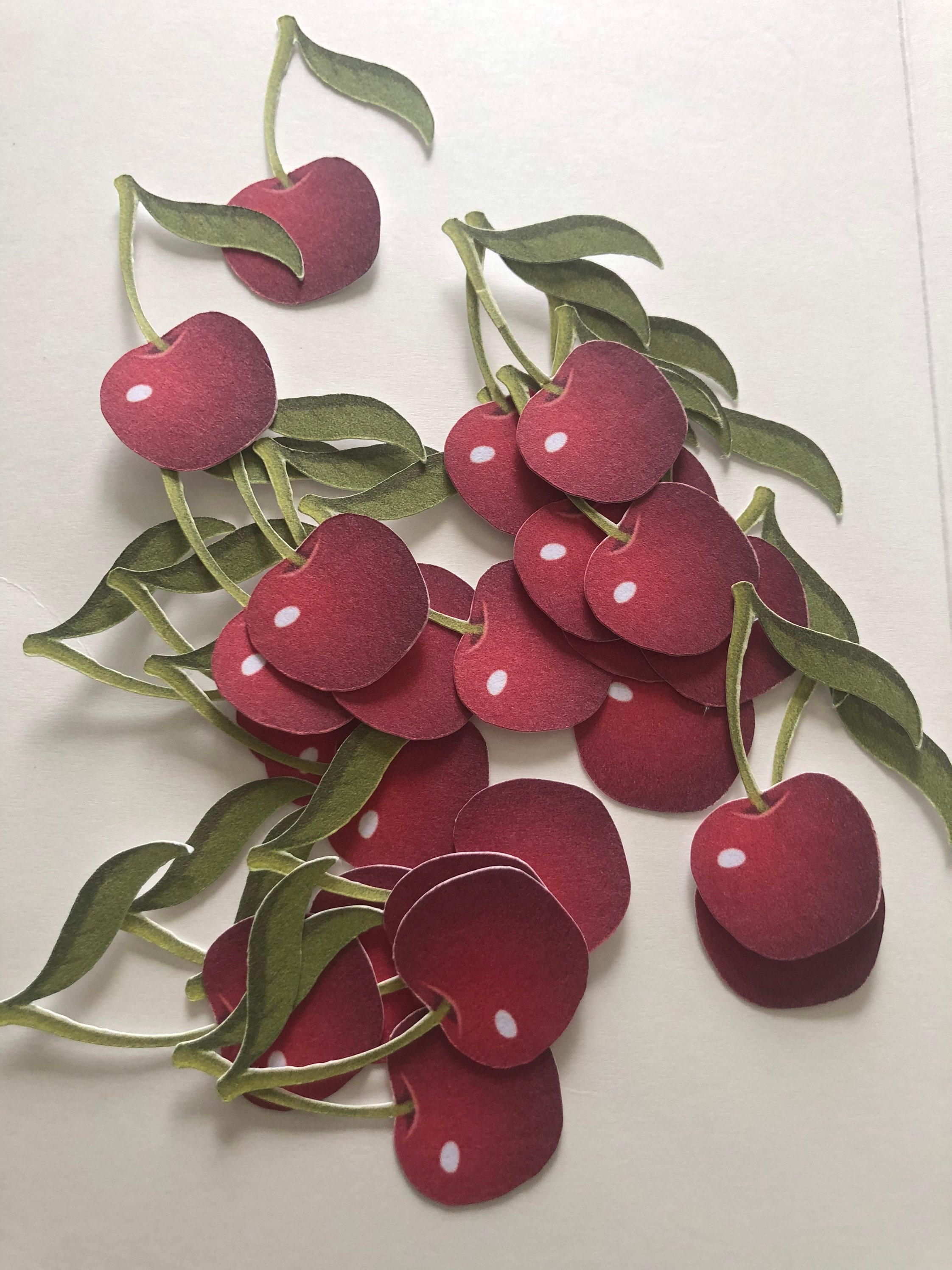 Cherry Die Cuts Cut Outs Confetti - Etsy