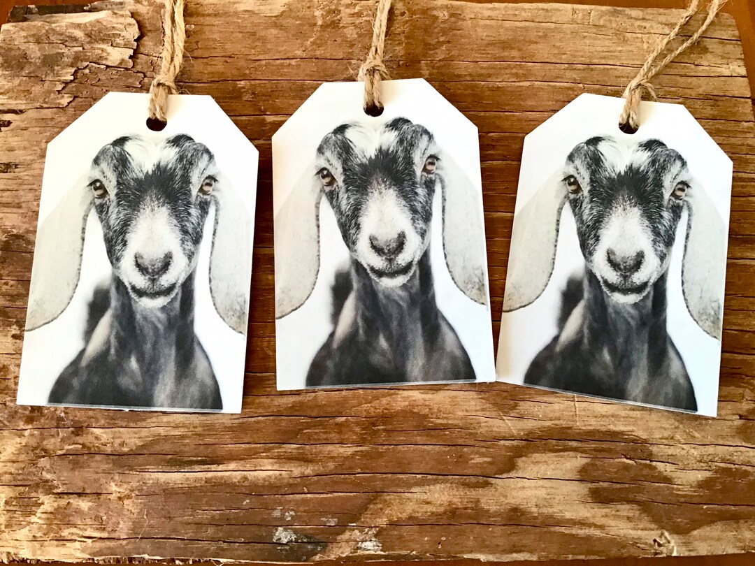 Goat Gift Tags Christmas Farm Party - Etsy