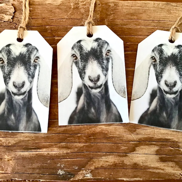 Goat Gifts - 60+ Gift Ideas for 2025