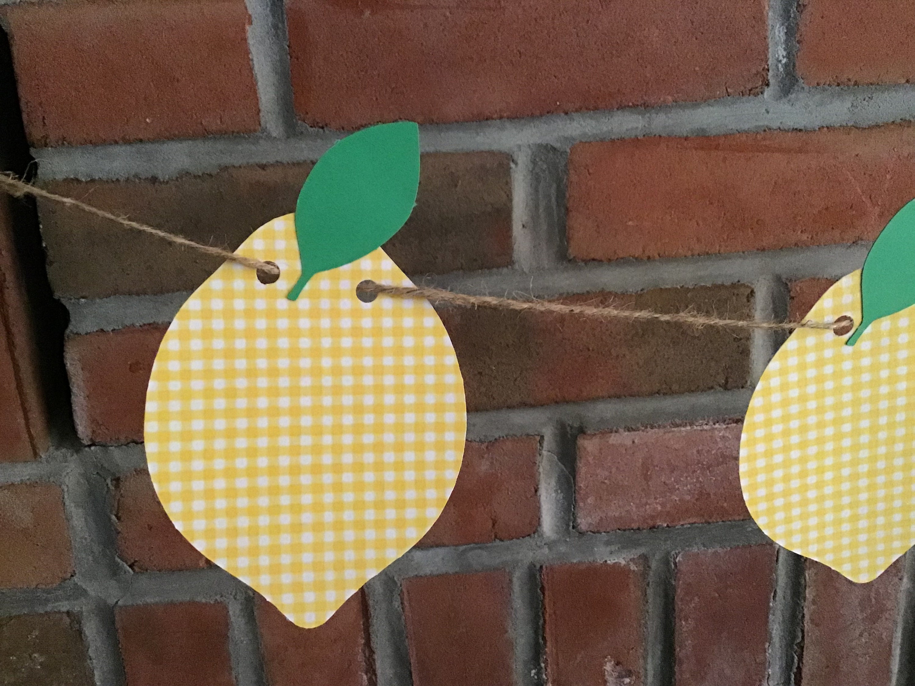 Yellow Gingham Lemon Banner Garland or Red Gingham - Etsy