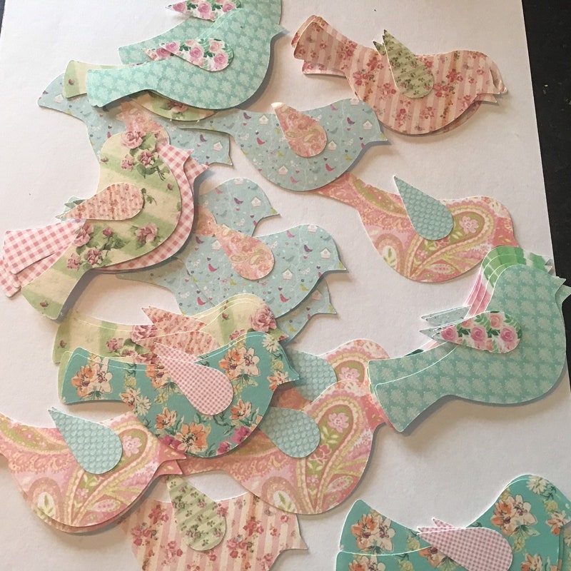 Bird Confetti - Etsy