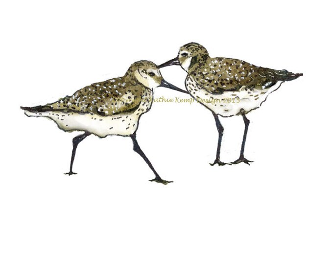 Sandpipers Beach Shore Birds Pen and Ink Drawing Watercolor Gift Idea ...