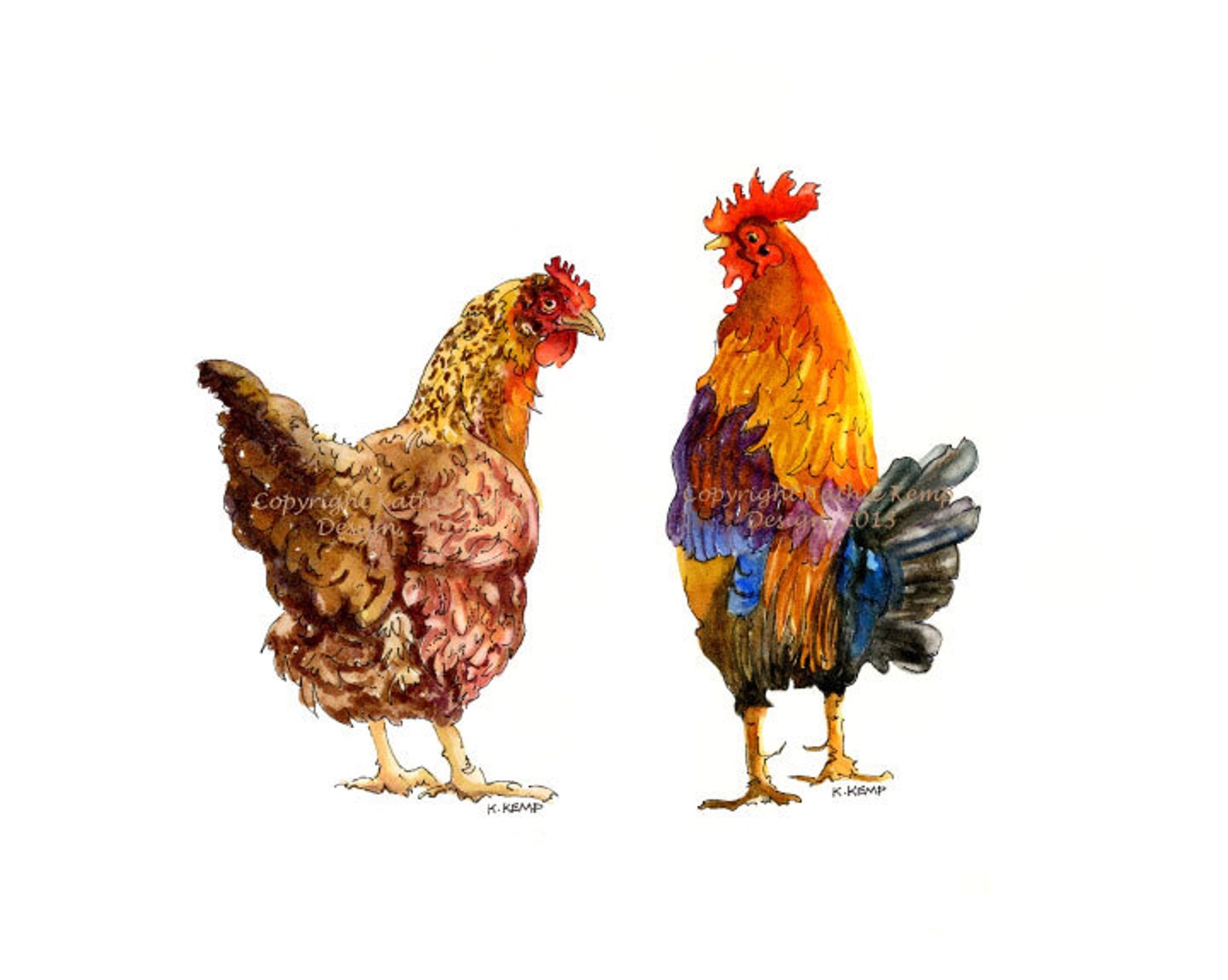Farm Animals Rooster Hen Pen and Ink Watercolor Painting Drawing ...
